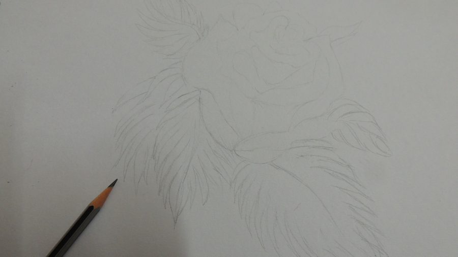 Step by Step Guide to Pencil Sketching