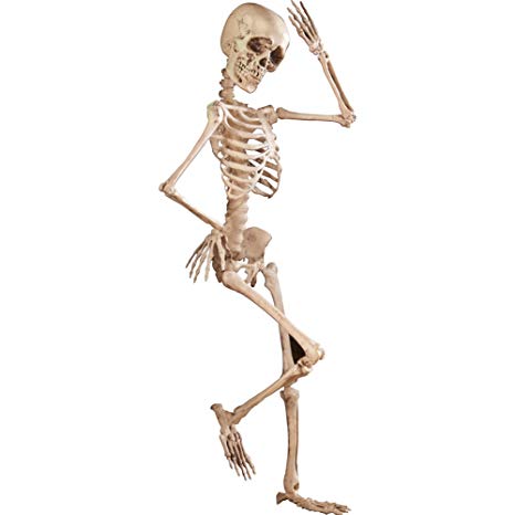 130 Best Skeleton Names [Cool & Funny Ideas] 2025