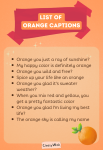 198+ Orange Captions For Instagram +++ [Huge List 2025 ]